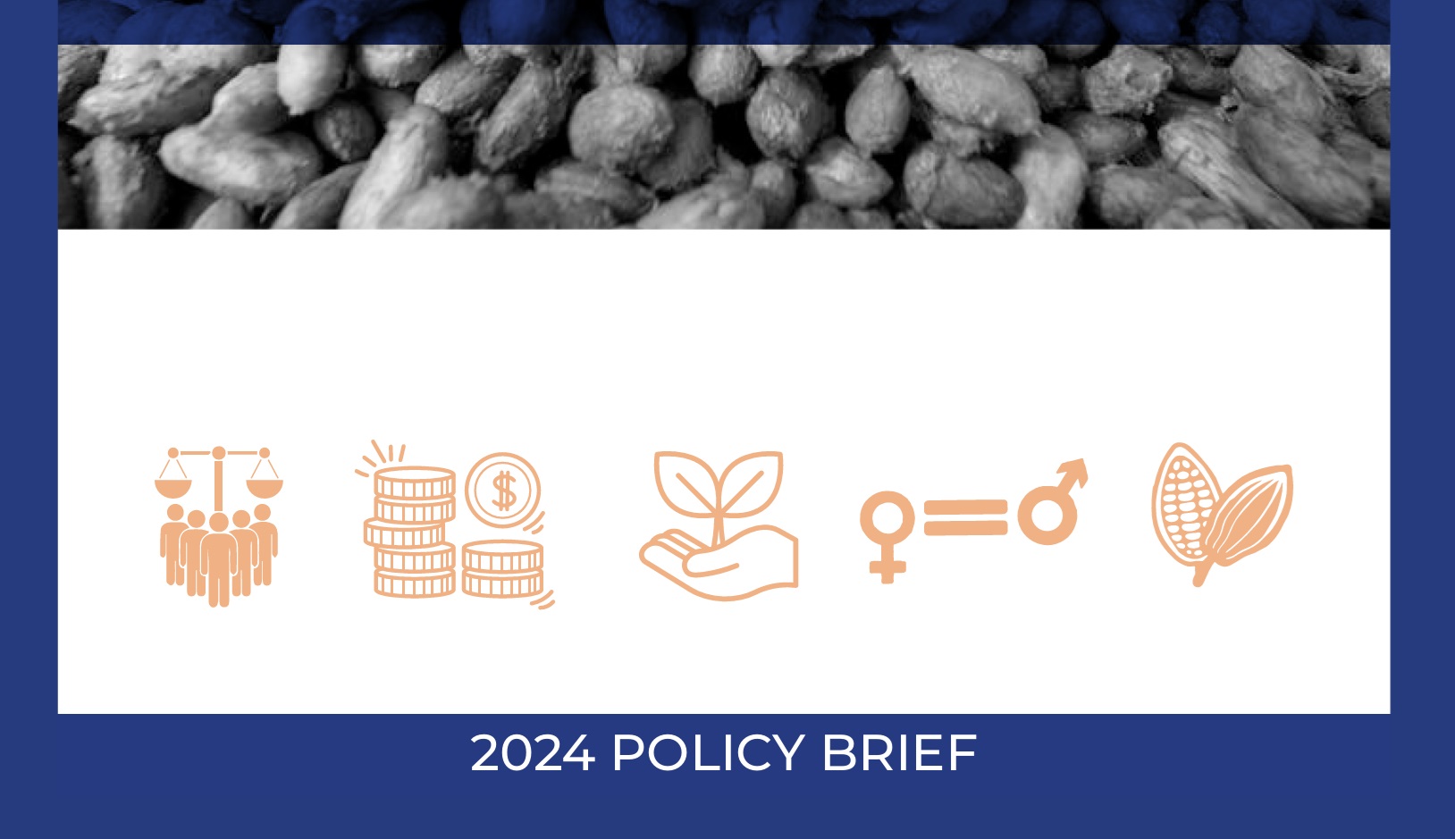 HLEG Policy Brief - SEND GHANA